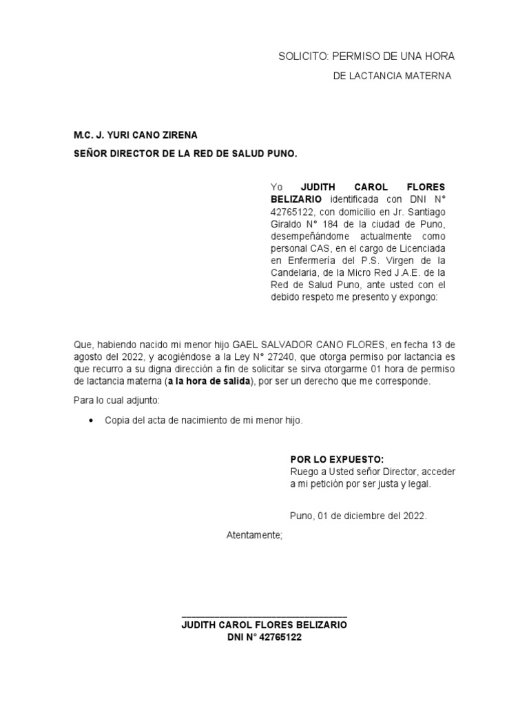 Solicitud Ejemplo | PDF | Gobierno y personalidad