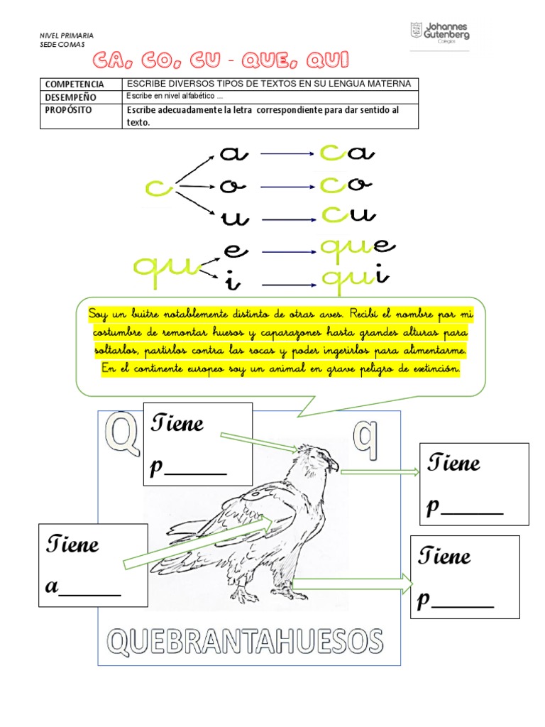 Ca, Co, Cu, Que, Qui | PDF
