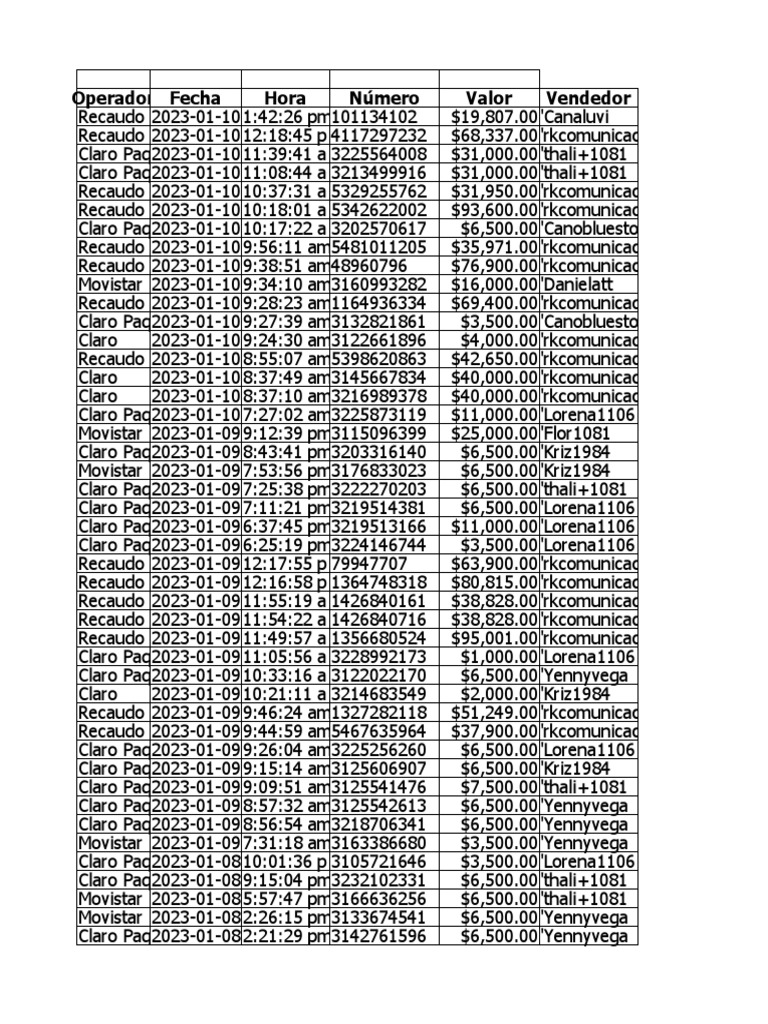 Report of sales and collections including company, date, time, number ...