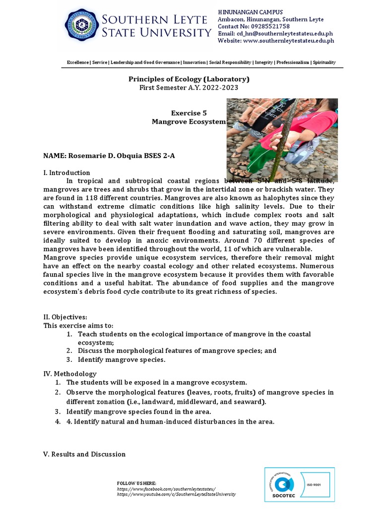 Mangrove Ecosystem Study Guide | PDF | Mangrove | Hydrology