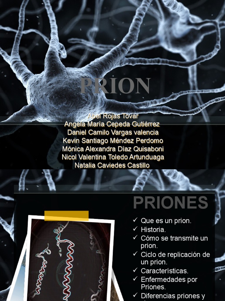 Priones | PDF | Enfermedades y trastornos humanos | Biología Celular
