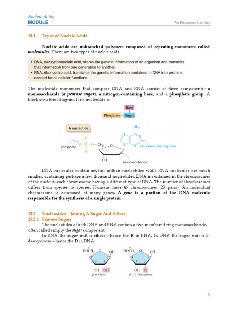 1 - Nucleic Acids Intro - Module | PDF | Nucleotides | Nucleic Acids