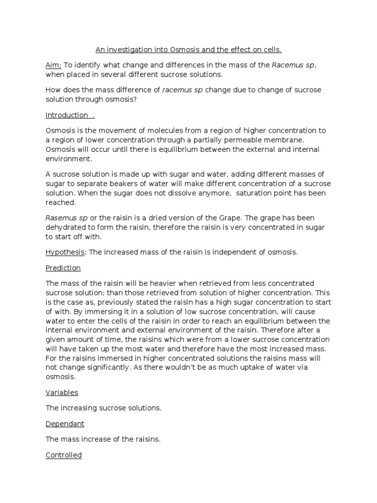 An Investigation Into Osmosis and The Effect On Cells | PDF | Osmosis ...