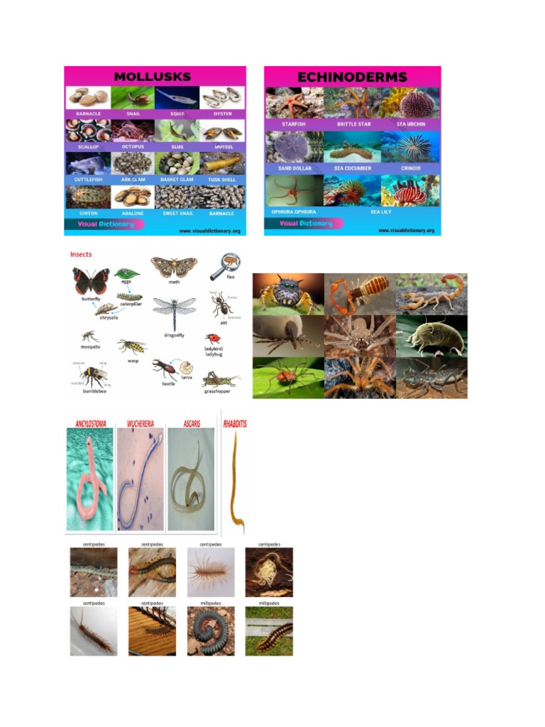 Science Download | PDF