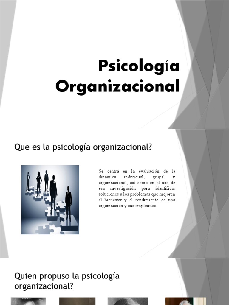 Psicología Organizacional | PDF