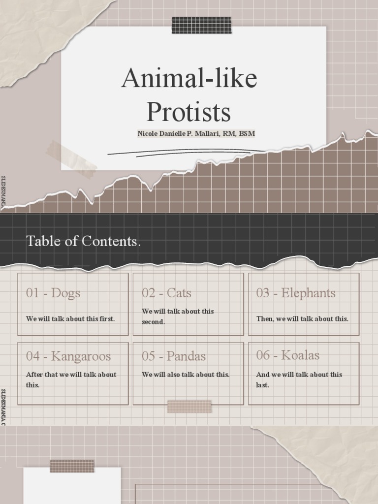 Animal-like Protists Overview | PDF | Protozoa | Biology