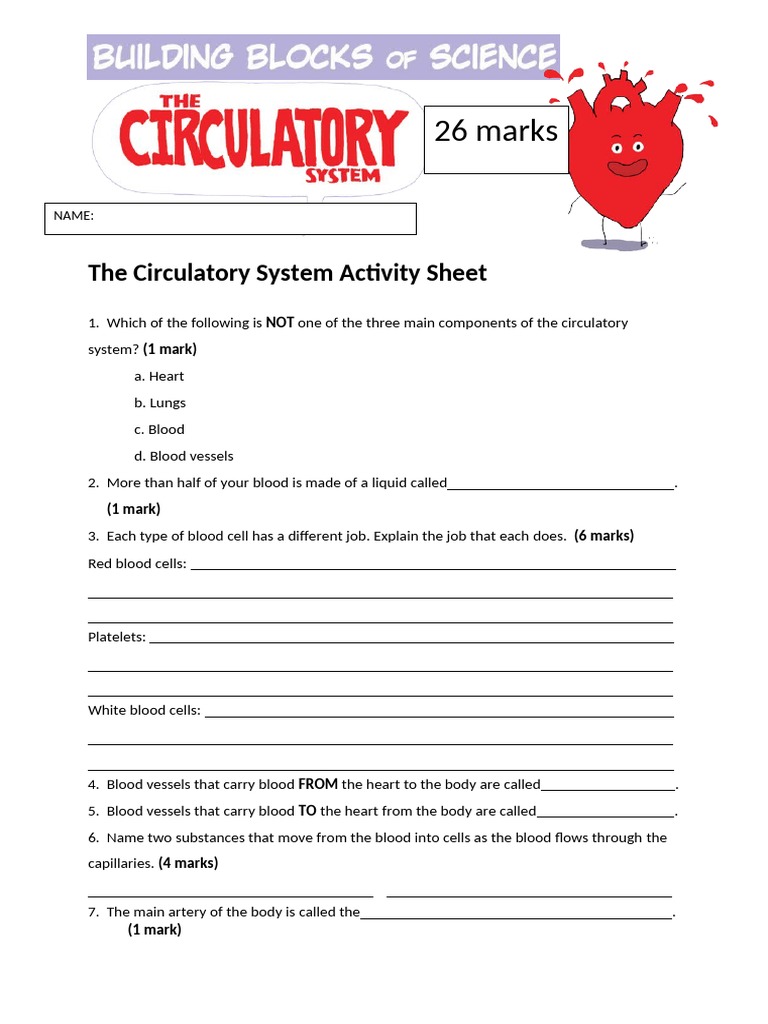 Circulatory Activity Sheet | PDF
