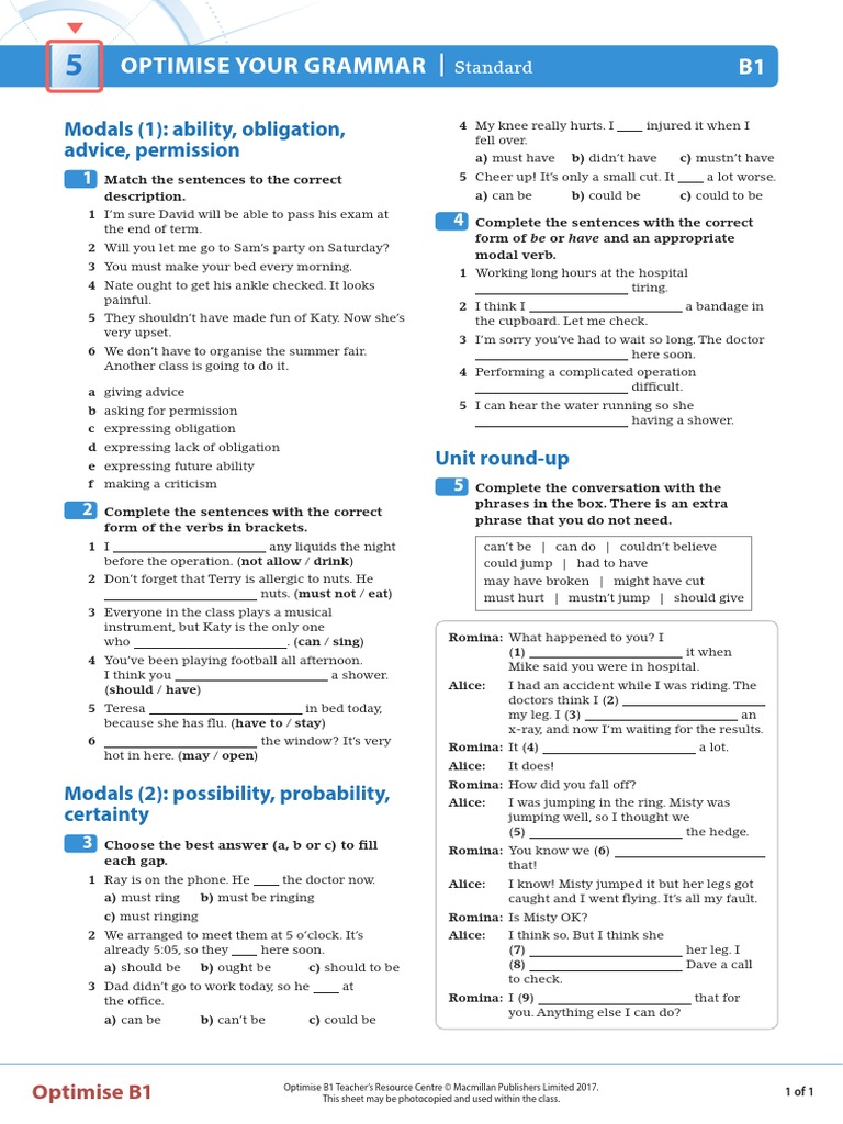 OPT B1 U05 Grammar Standard | PDF