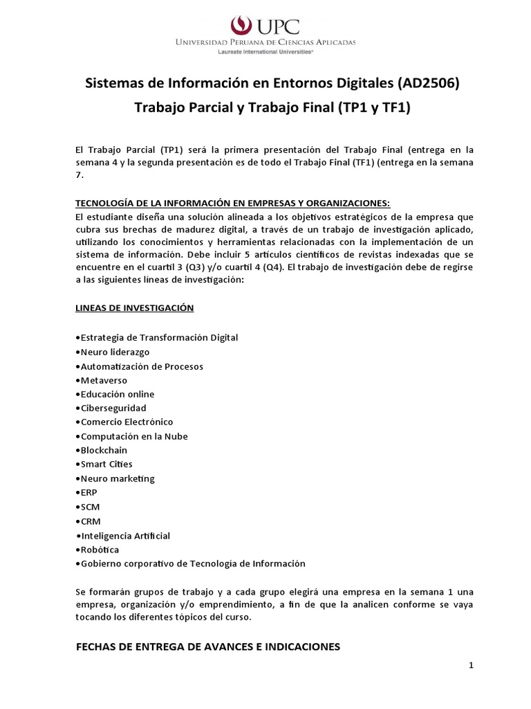 Rubrica TP1-TF1 - Sistemas de Información en Ent. Digitales - 2023-0 | PDF | Business | Sistema ...