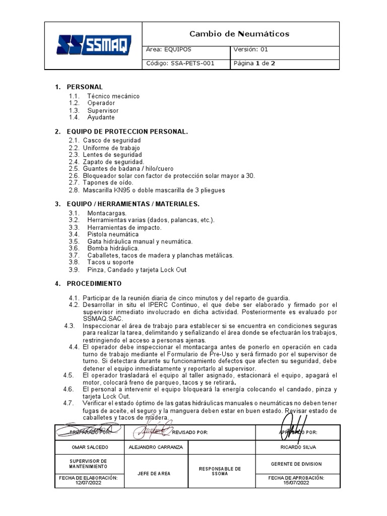 Ssa-Pets-001 Cambio de Neumaticos | PDF