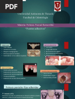 Clasificación de Seibert | PDF | Ciencia y matemáticas