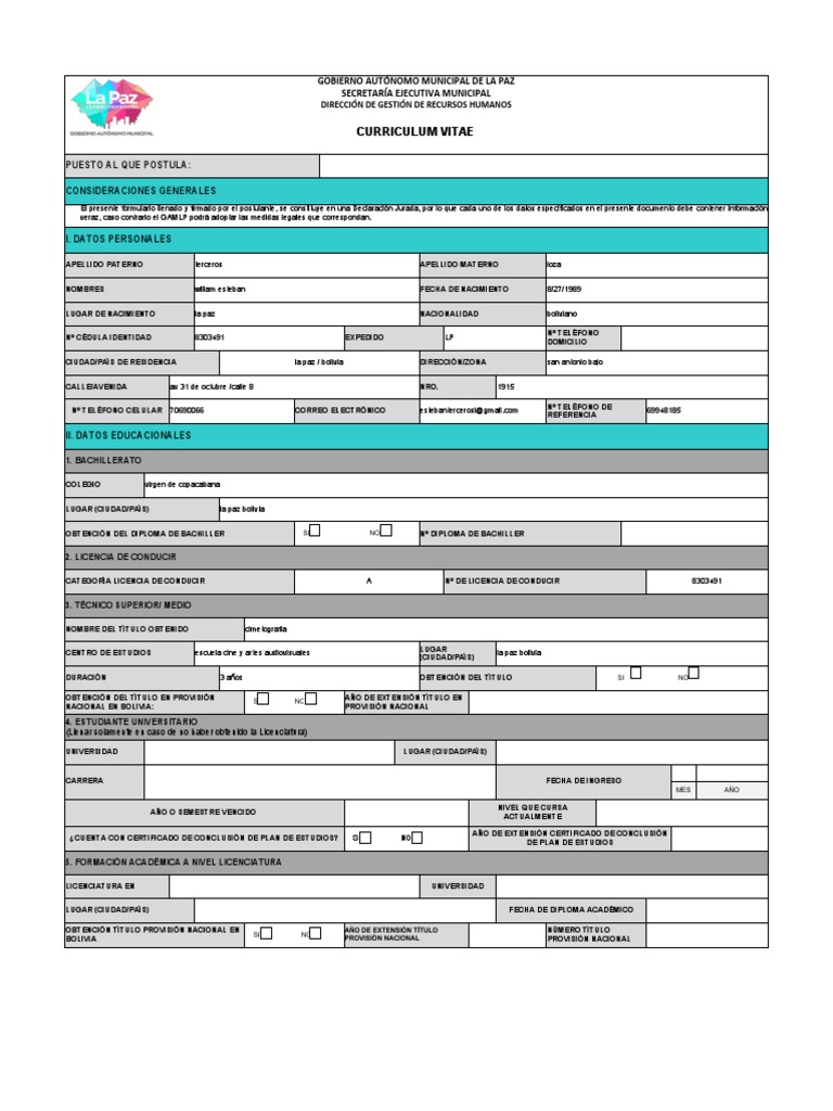 Formulario Curriculum Vitae - v1 Final | PDF | Bolivia