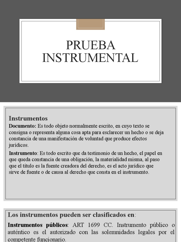 Prueba Instrumental 9 Septiembre | PDF | Gobierno | Justicia