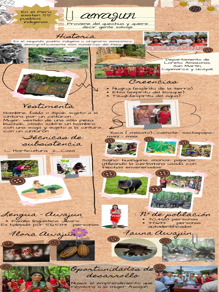 Infografía Pueblo Awajun | PDF | Perú