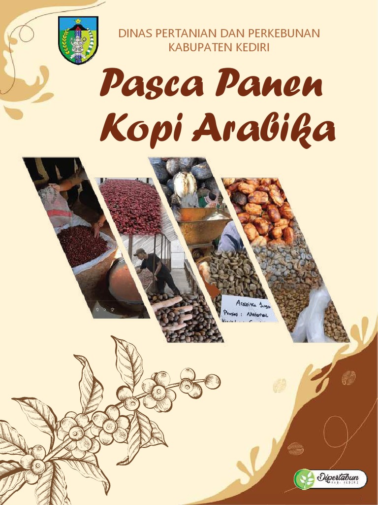 Proses Pasca Panen Kopi Arabika | PDF