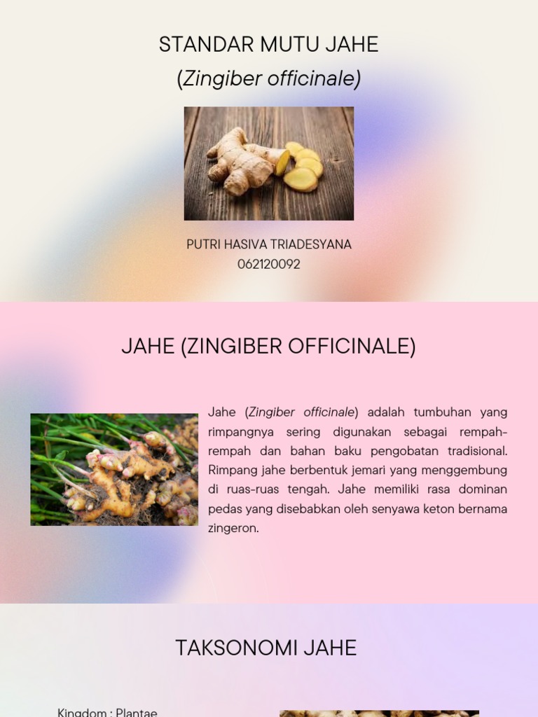 Jahe Compressed | PDF