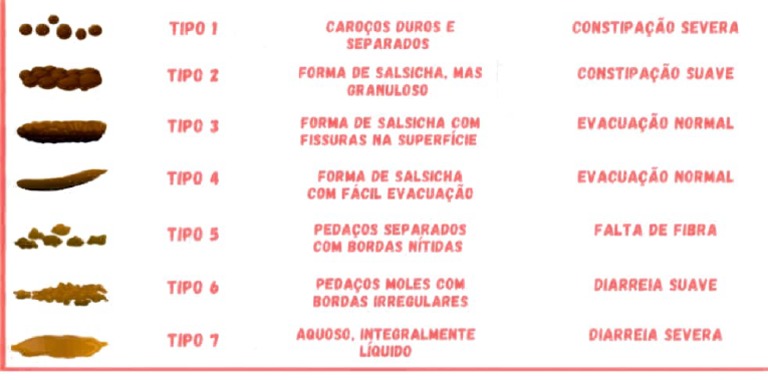 Escala de Bristol | PDF