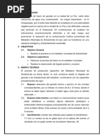 Visita Al Rastro | PDF | Carne | Matadero