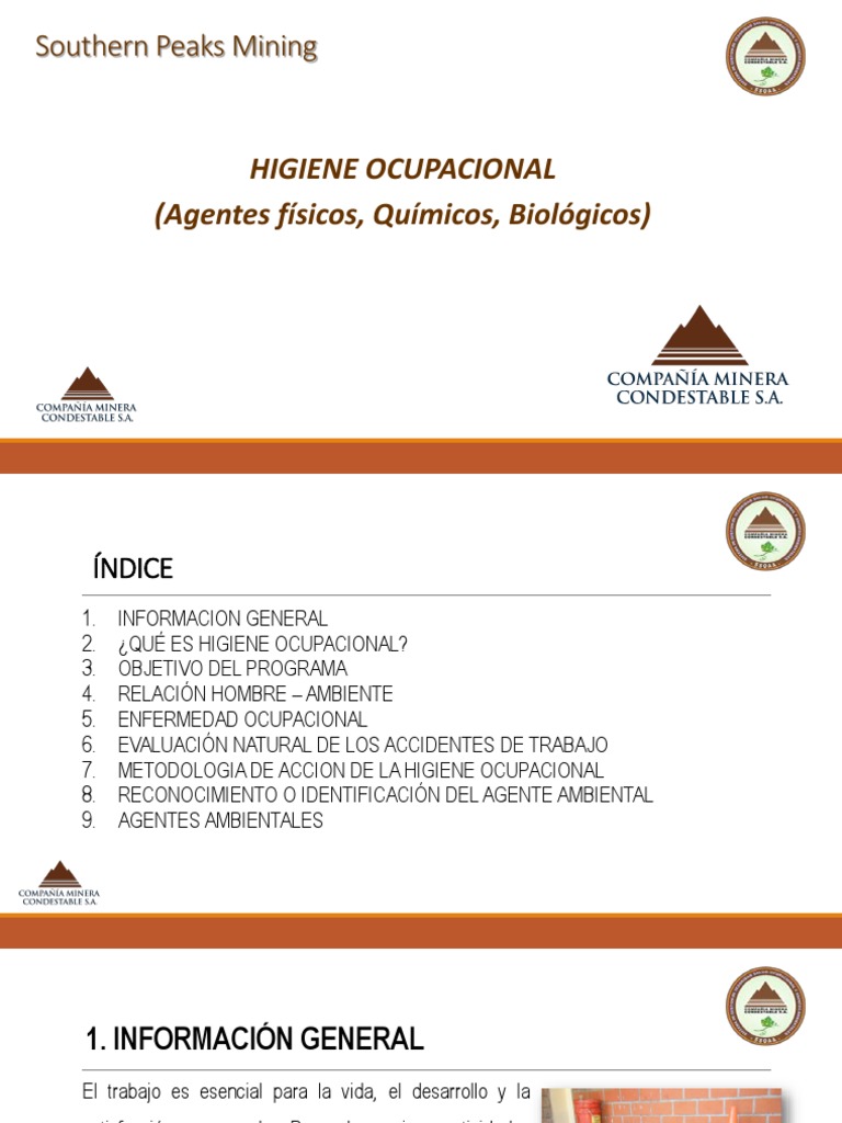 Higiene Ocupacional (Agentes Fisicos, Quimicos, Biologicos) | PDF ...