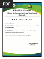 BARANGAY DISASTER RISK REDUCTION & MANAGEMENT (BDRRM) PLAN 2025 | PDF ...