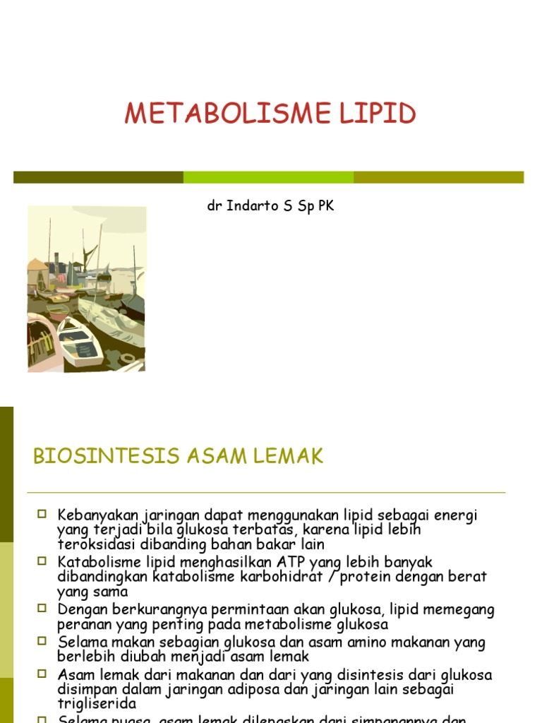 Metabolisme Lemak | PDF