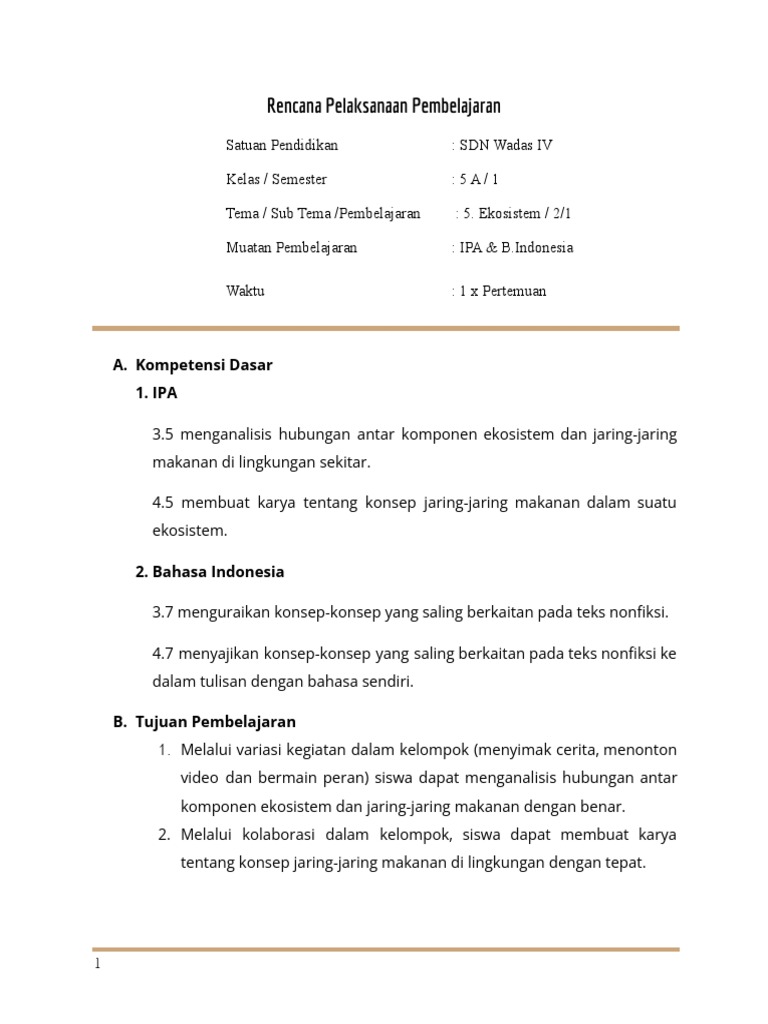 RPP Diferensiasi - Tema 5 Kelas 5-Ria Mey Wulan | PDF