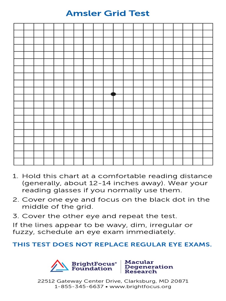 Amsler Grid WCAG 2022 NEW | PDF