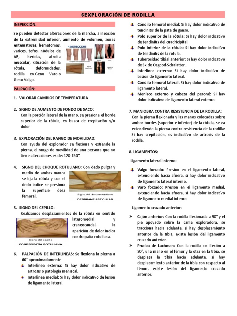 Exploración de Rodilla | PDF | Rodilla | Anatomía humana