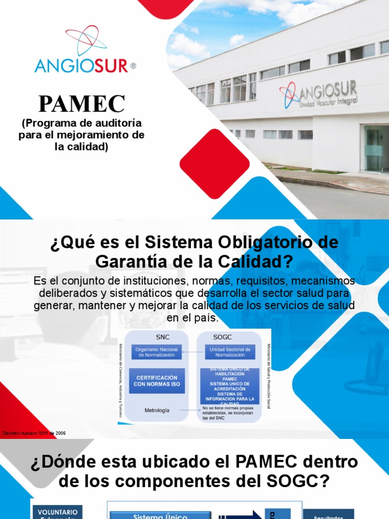 Programa de Auditoría para El Mejoramiento de La Calidad Pamec | PDF ...