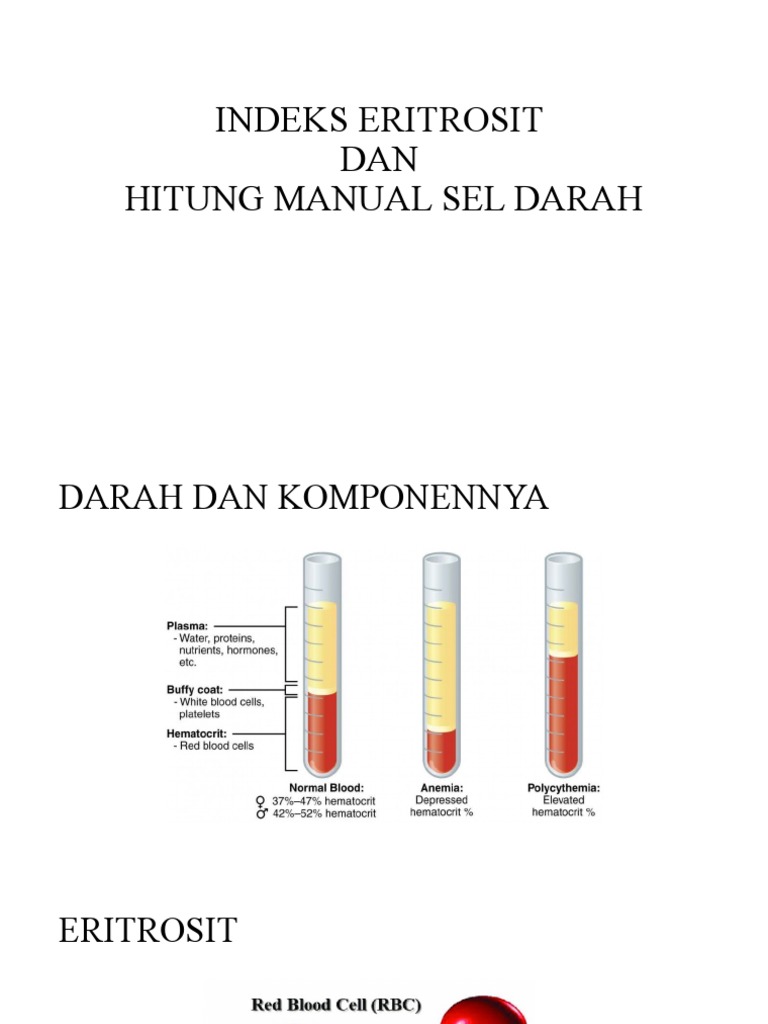 Indeks Eritrosit & Hitung Manual | PDF