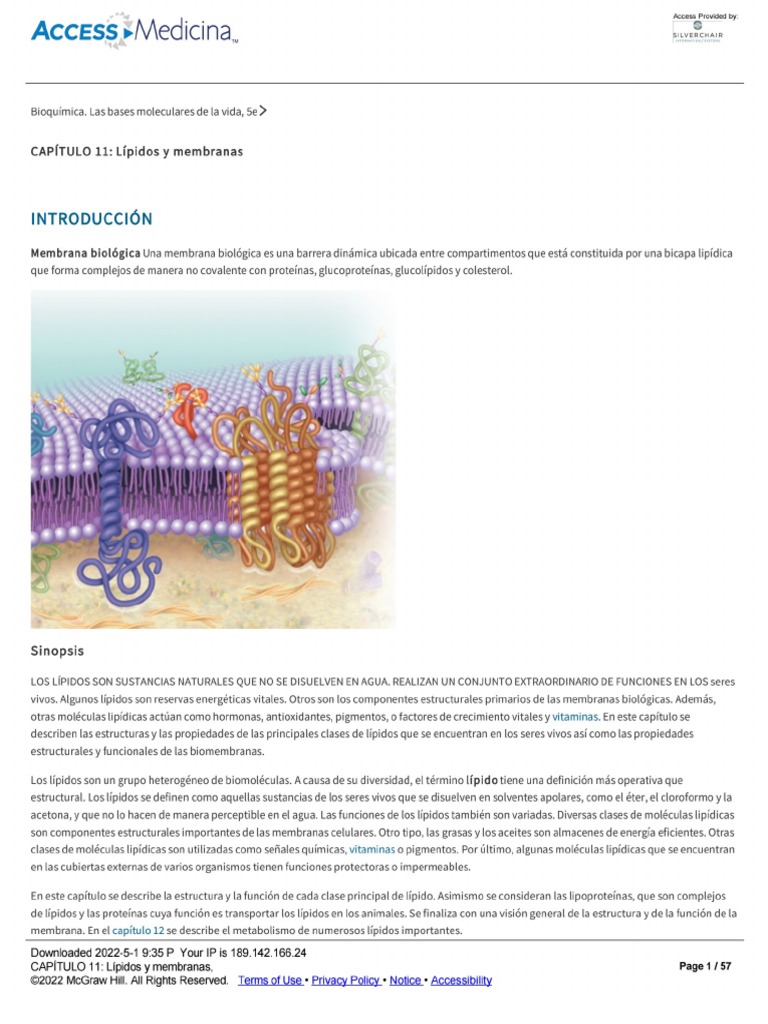 CAPÍTULO 11 - Lípidos y Membranas | PDF