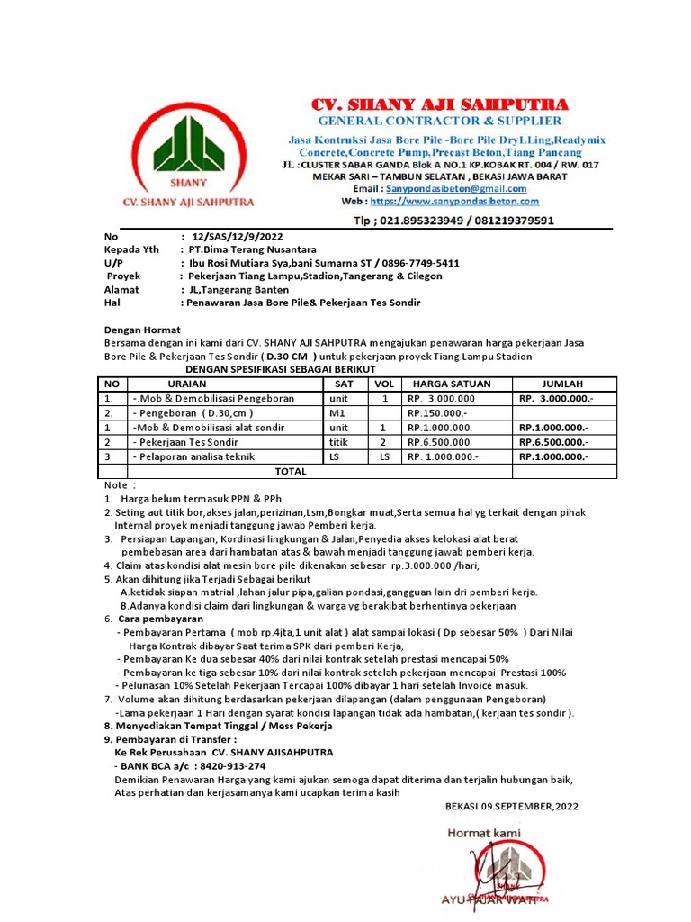 ADM.003.Penawaran CV Shany Aji Sahputra | PDF