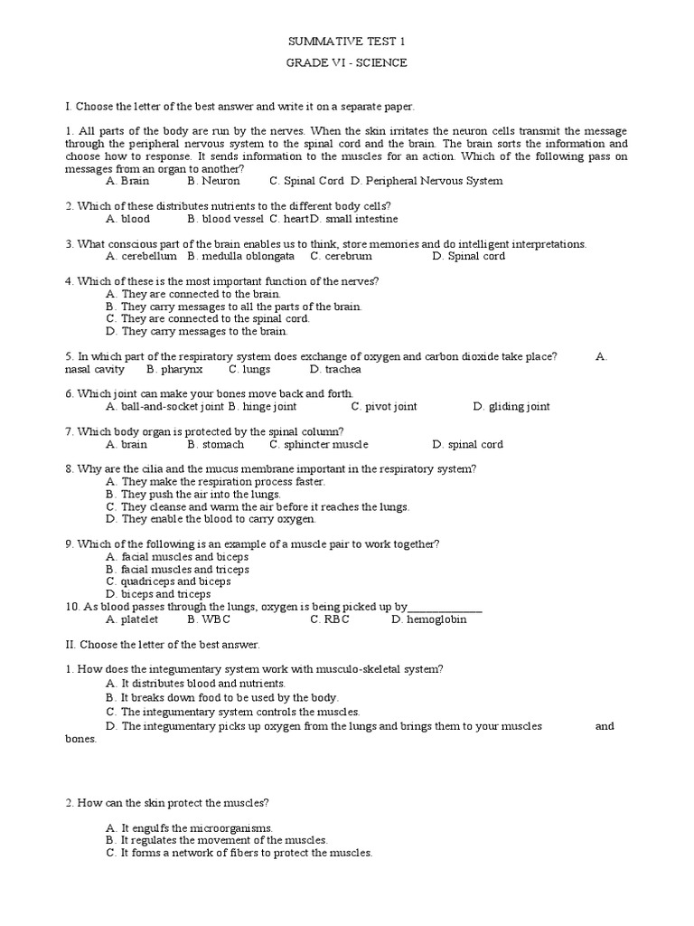 Summative Test 1 Science | PDF | Human Body | Nerve
