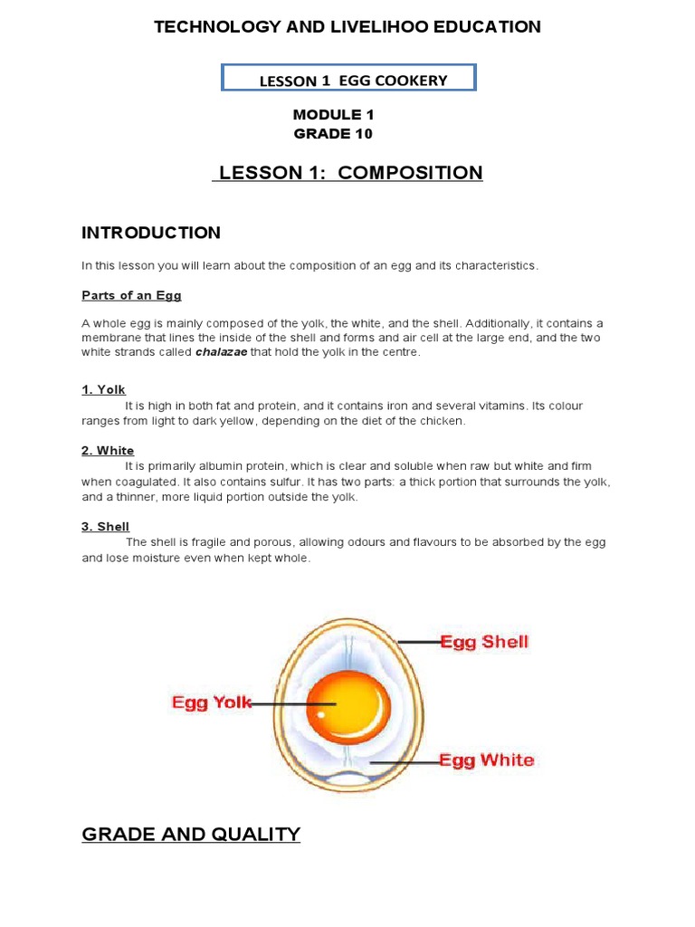 JHS Modules 1ST Quarter | PDF | Egg As Food | Cooking