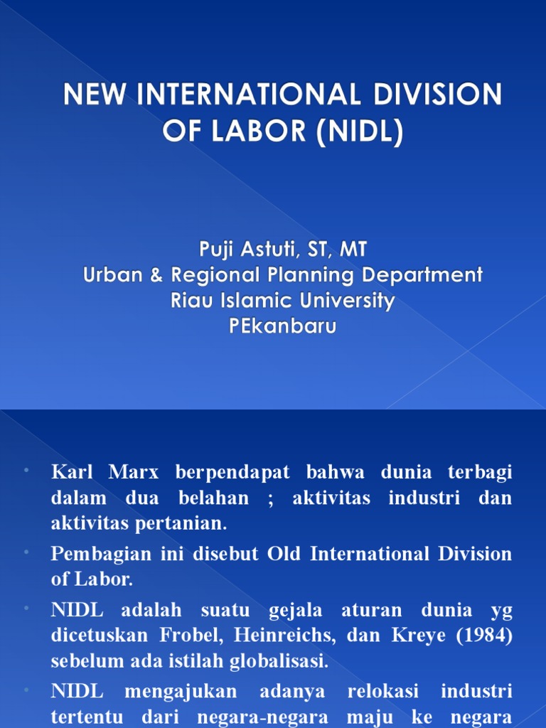 Dampak NIDL pada Ekonomi Negara Berkembang | PDF