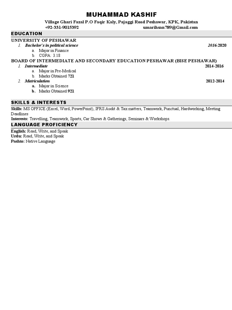 Kashif CV | PDF