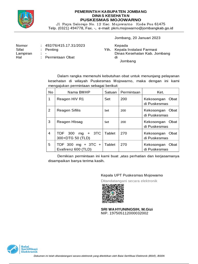Permintaan Obat Program | PDF