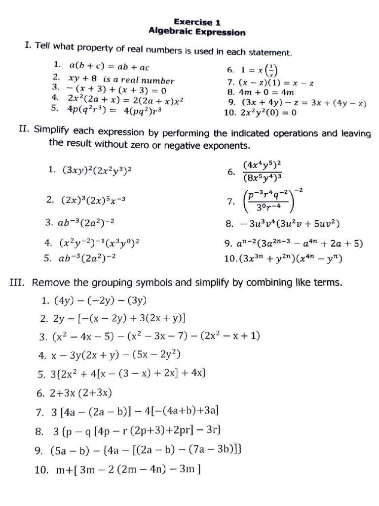 Algebraic Expressions and Operations Guide | PDF | Mathematics | Algebra