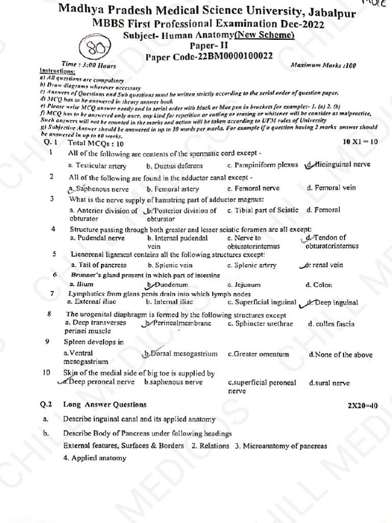 Anatomy Paper 2 (New Scheme) MPMSU | PDF