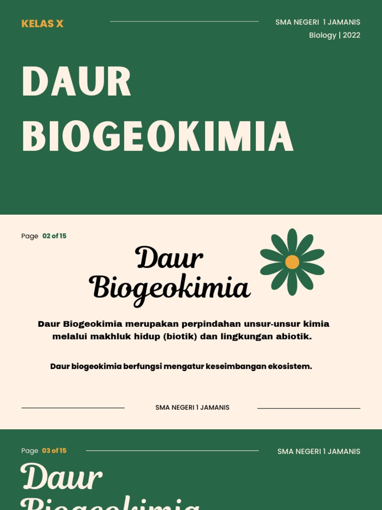 Daur Biogeokimia | PDF