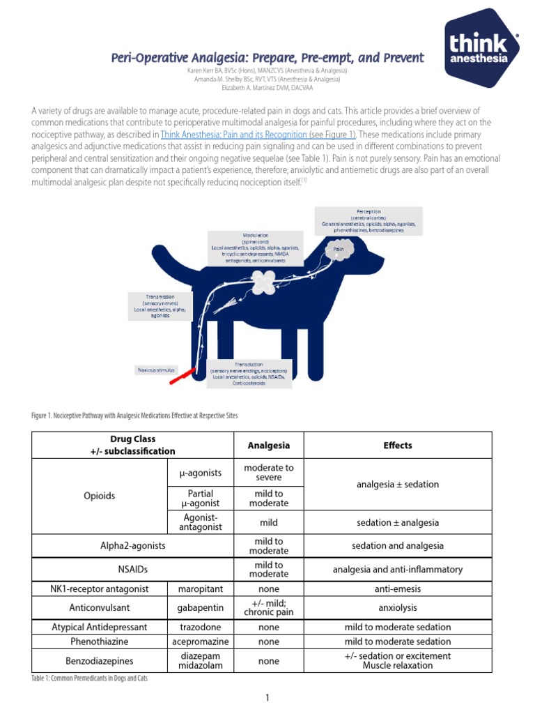 US - Article - 1col - Peri-Op - June22 | PDF | Analgesic | Opioid