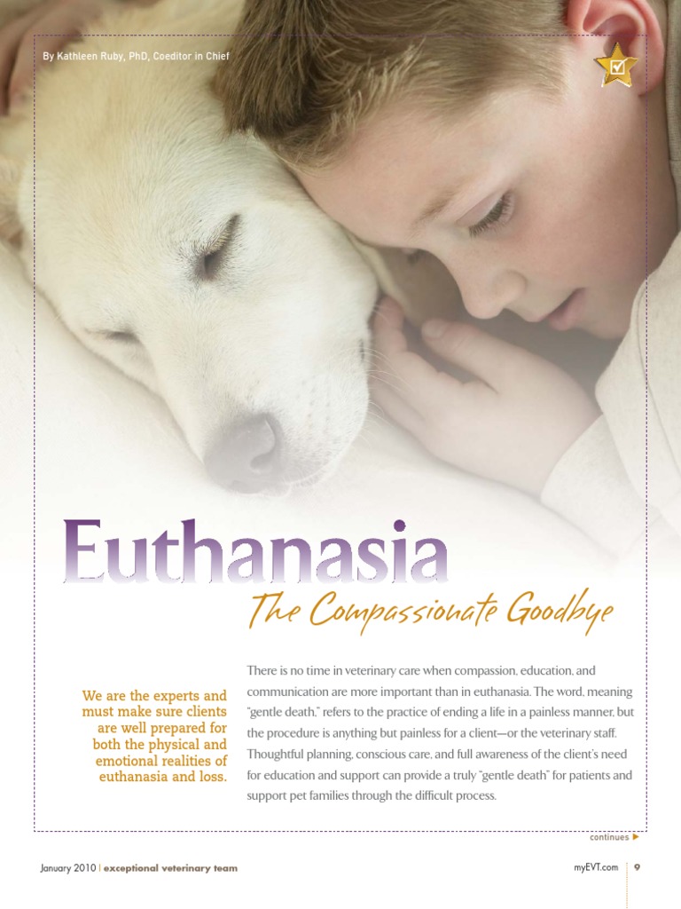 Euthanasia Pdf Grief Pain