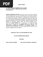 Ejemplo Carta Poder Simple para Trámites Cfe | PDF