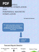 Abbreviated Mental Test Score (AMTS) | PDF