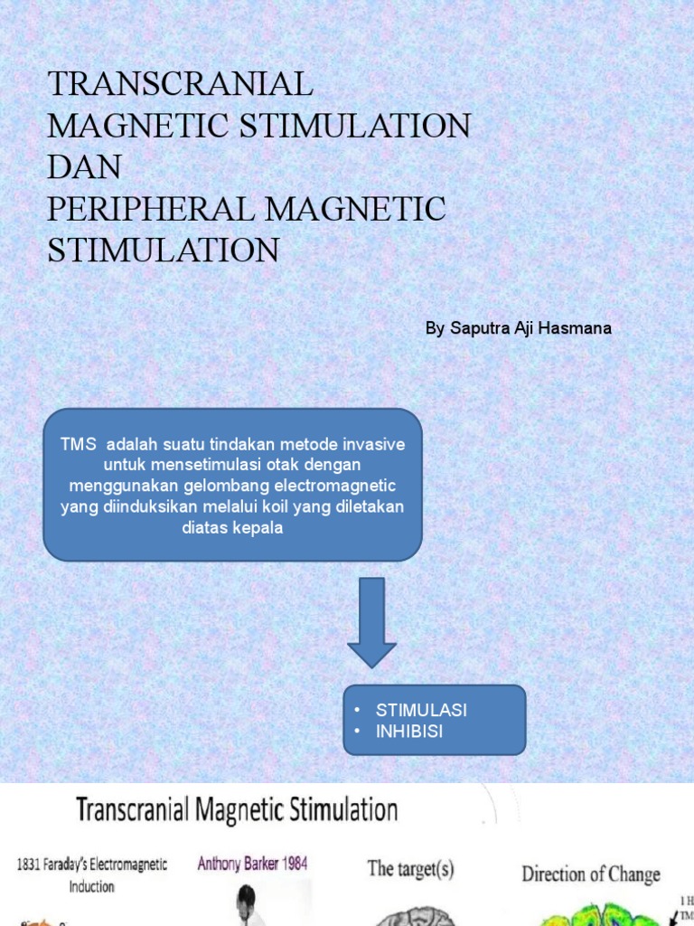 Materi Iht TMS Dan PMS | PDF | Cerebral Cortex | Neurophysiology
