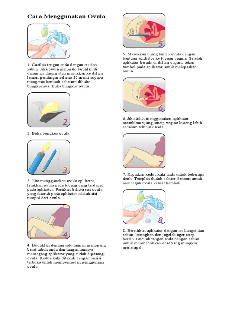 Cara Menggunakan Ovula | PDF