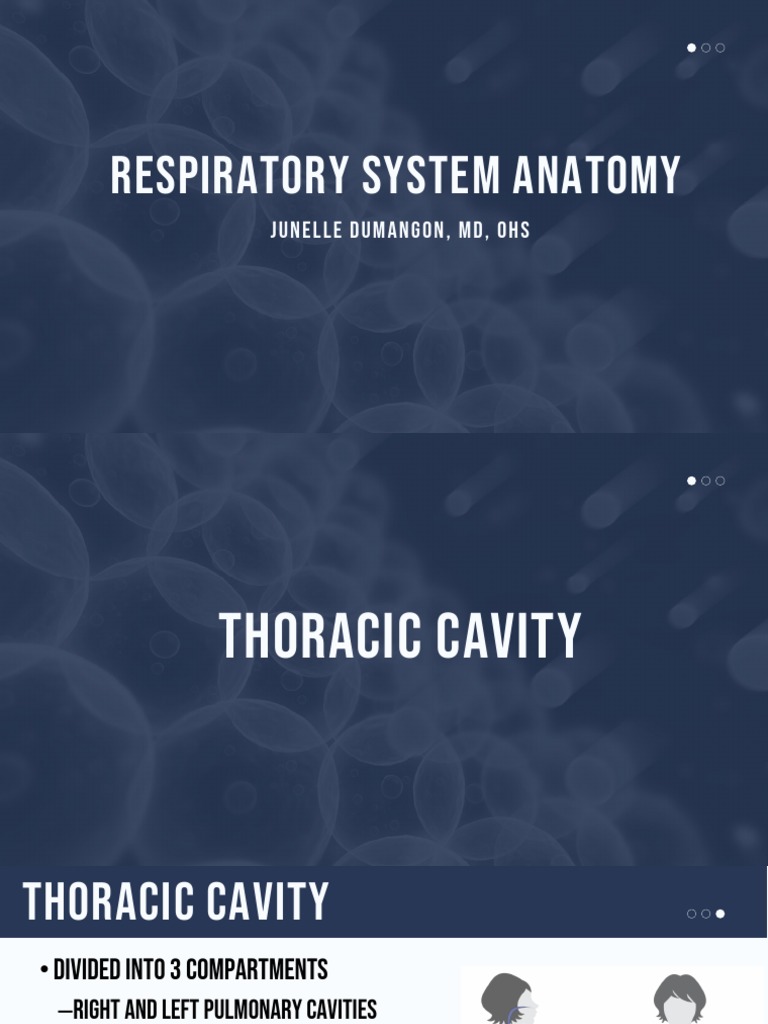 Fapc Finals. | PDF | Respiratory Tract | Human Nose