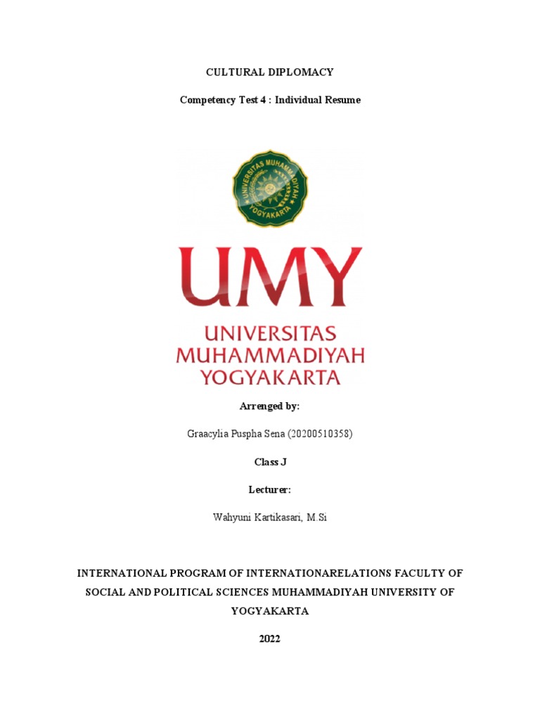 Indonesia-Turkey Cultural Diplomacy Strategies | PDF | Non Governmental ...