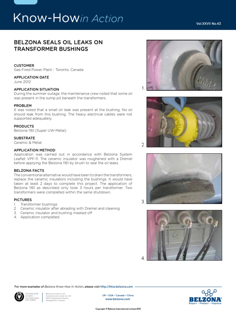 Oil Leakage From Bushing | PDF