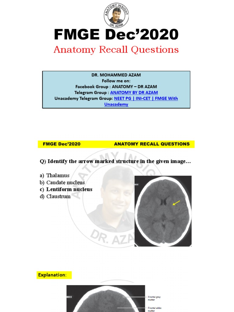 Anat Recall Que - Dr. Azam | Download Free PDF | Foot | Musculoskeletal System